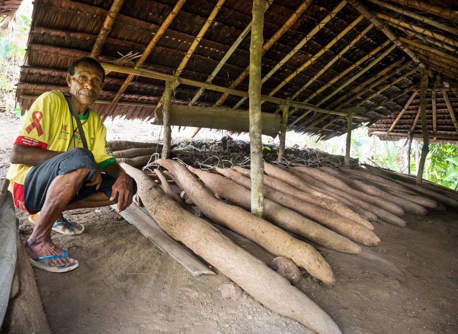 Abelam’s spirits houses, gods and yams (Maprik, PNG) – Stories and ...