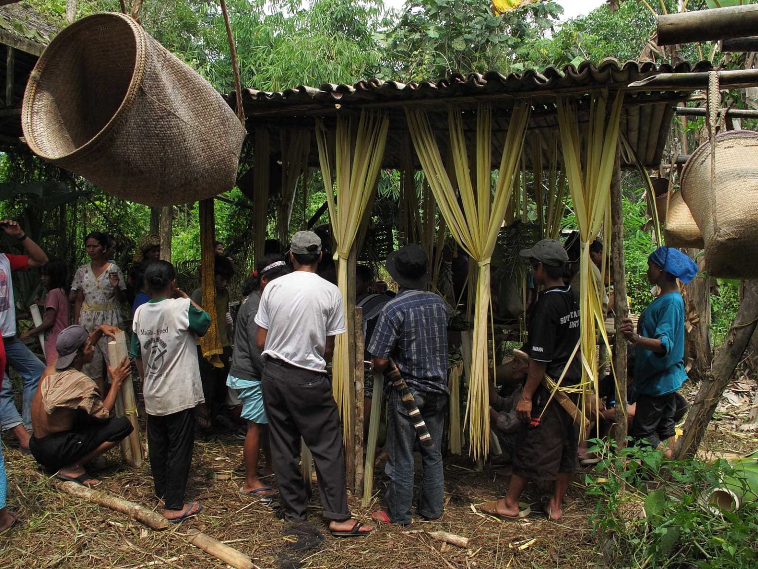 Forests of Dayak Meratus, Kalimantan (Indonesia 2011) – Dragoș Dubină